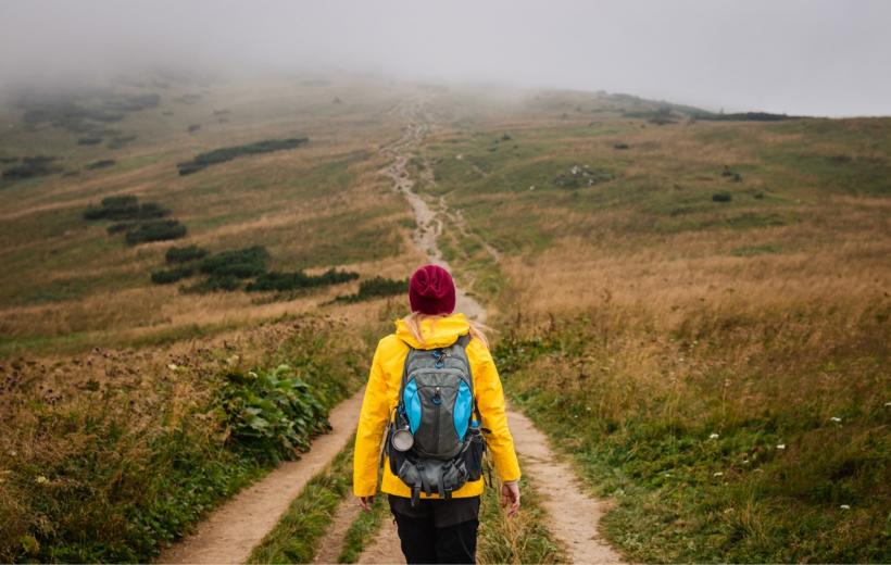 So, what are Investment Pathways? | The Private Office